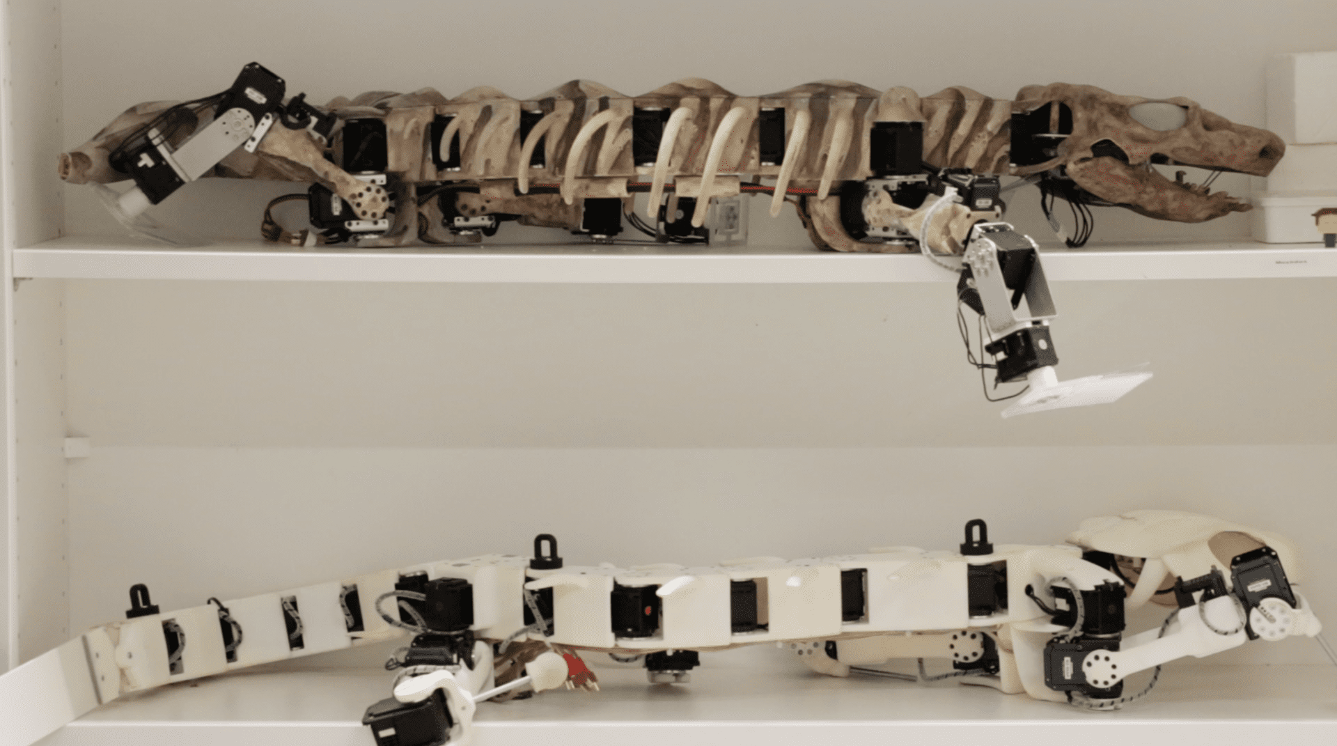 When scientific research explores artistic questions | EPFL | Les dossiers de l'actu