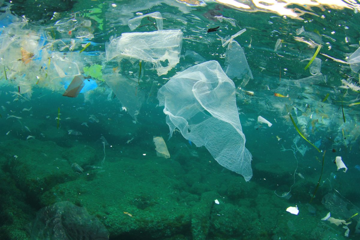Quatre mois en mer pour mesurer la pollution microplastique | EPFL ...
